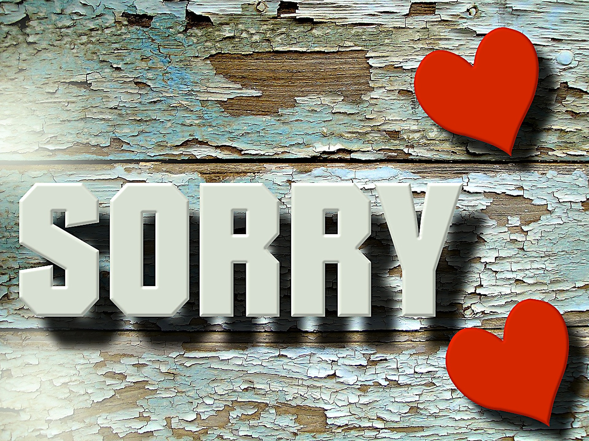 Chiedere scusa è la colla speciale di chi si vuole bene. - Terry&You